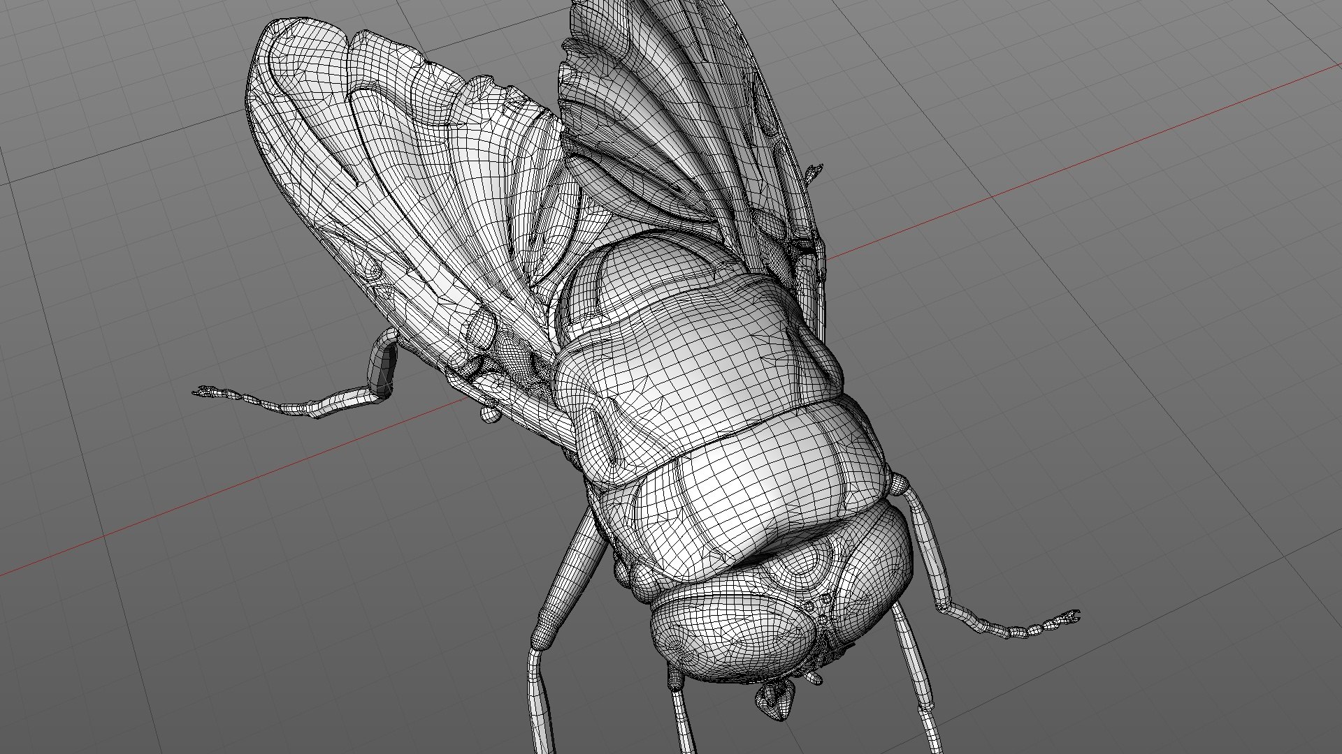 Fly Bug Insect 3D Model - TurboSquid 1689100