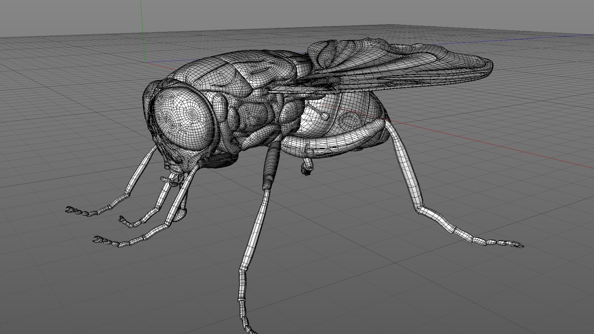 Fly Bug Insect 3D Model - TurboSquid 1689100