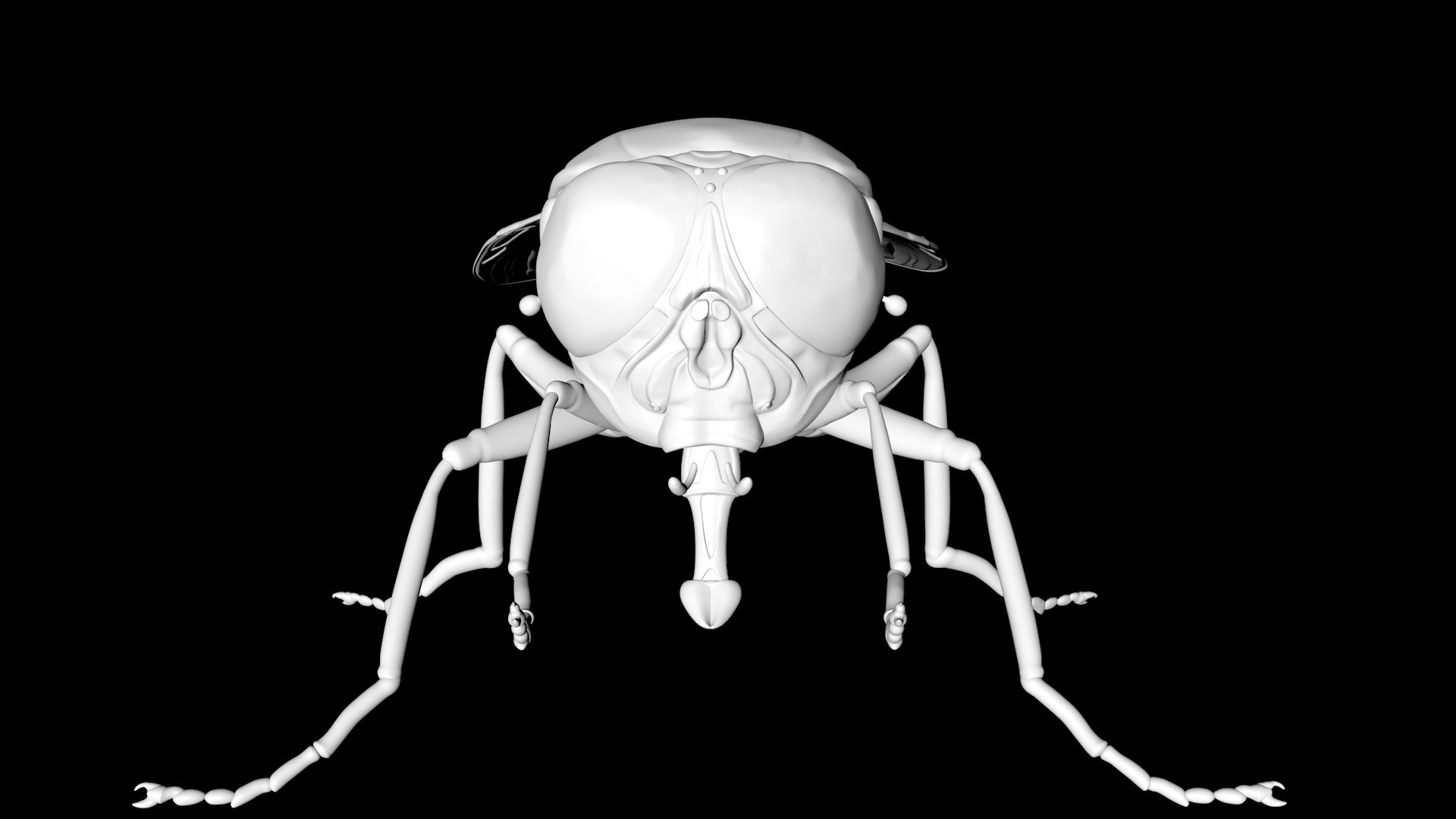 Fly Bug Insect 3D Model - TurboSquid 1689100