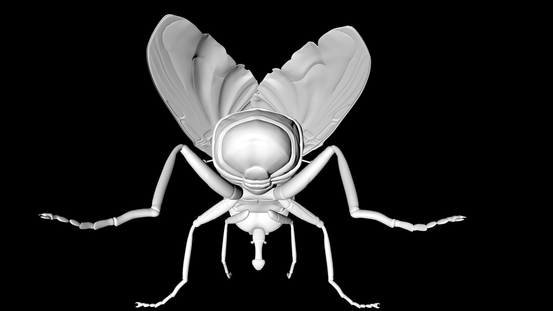 Fly Bug Insect 3D Model - TurboSquid 1689100