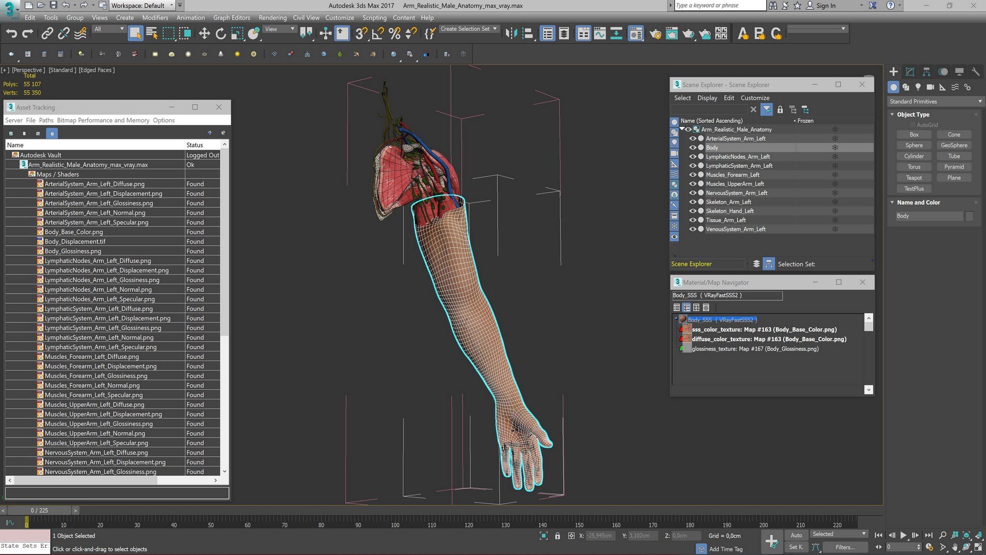 Arm Realistic Male Anatomy 3D - TurboSquid 2169040