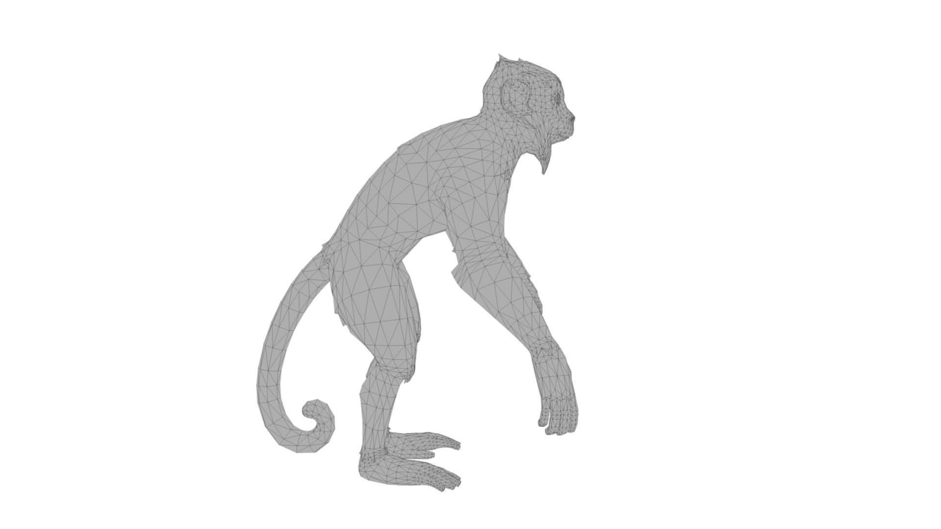 Monkey 3D model - TurboSquid 1953401