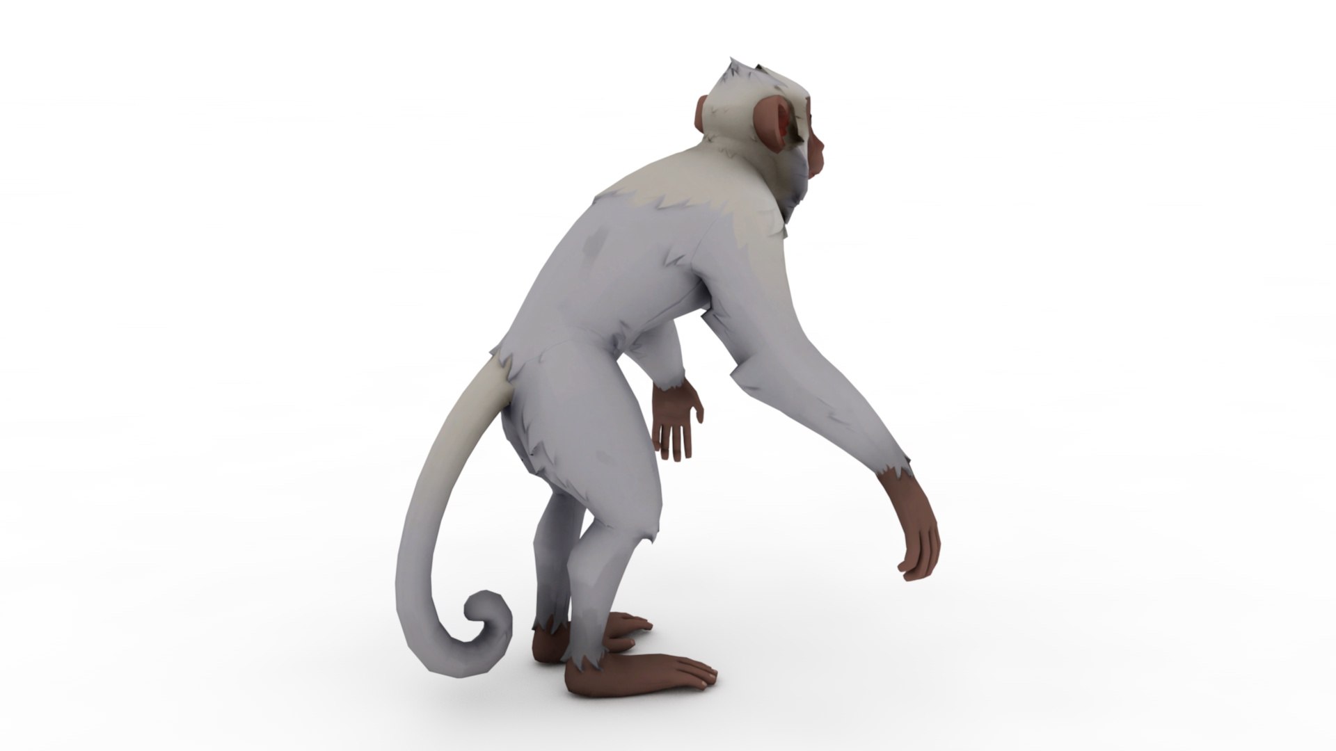 Monkey 3D model - TurboSquid 1953401