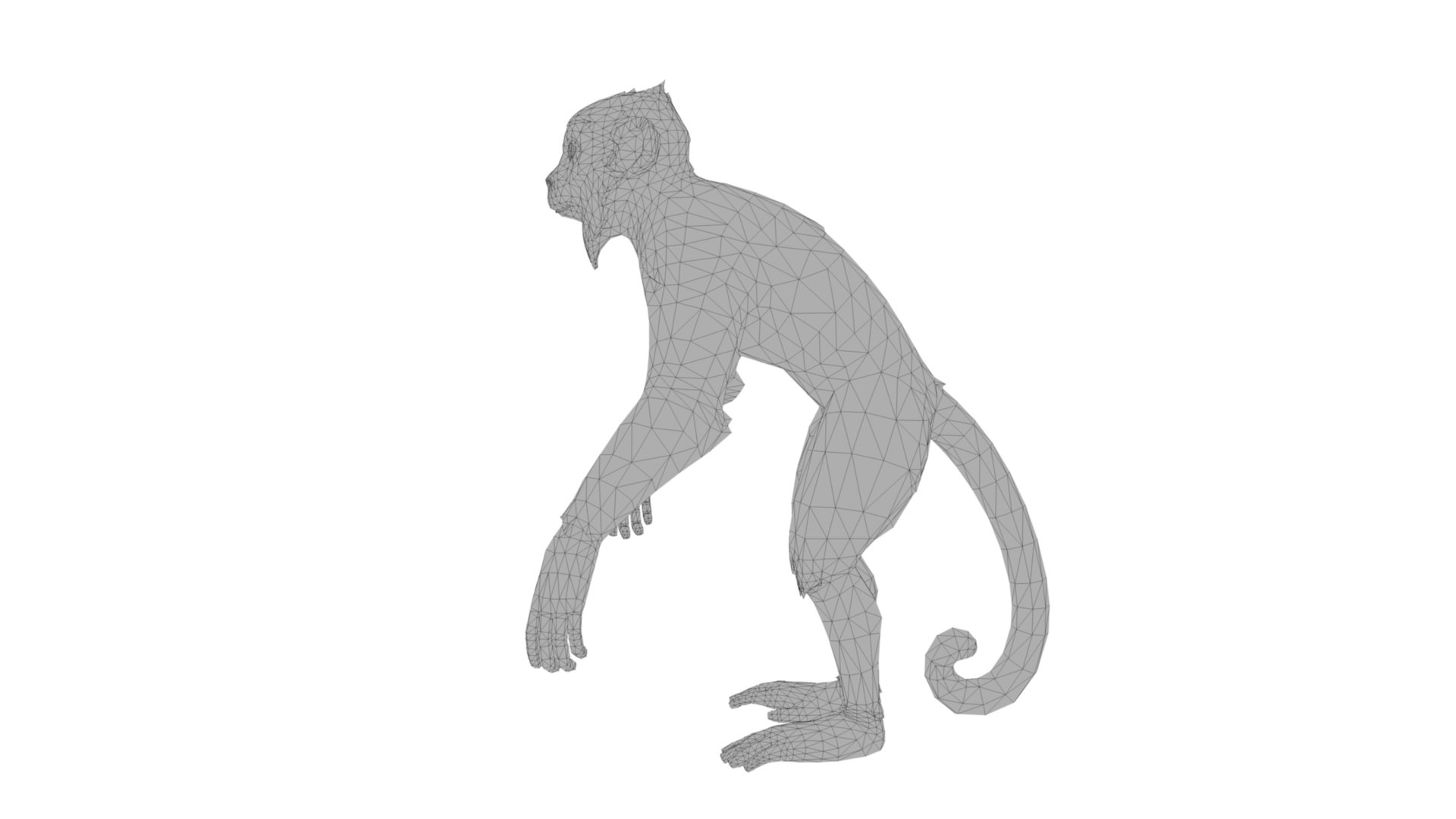 Monkey 3D model - TurboSquid 1953401