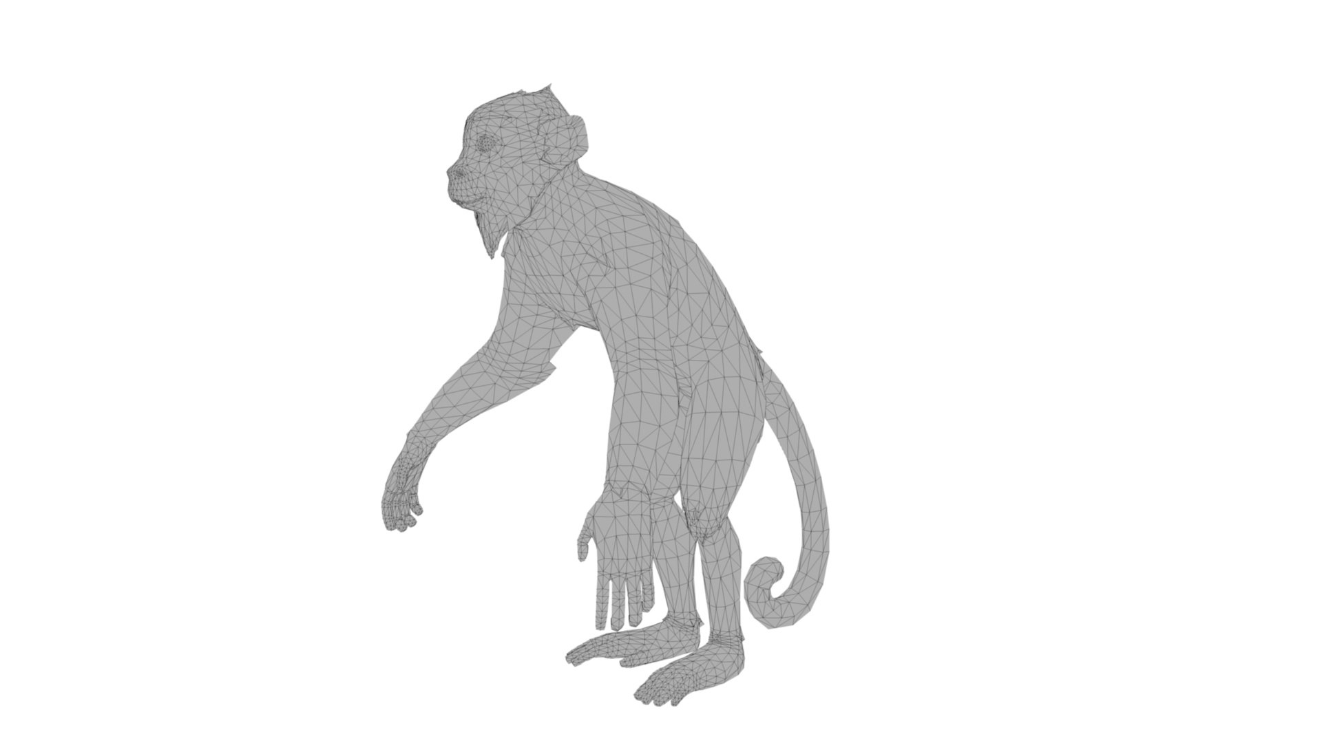 Monkey 3D model - TurboSquid 1953401