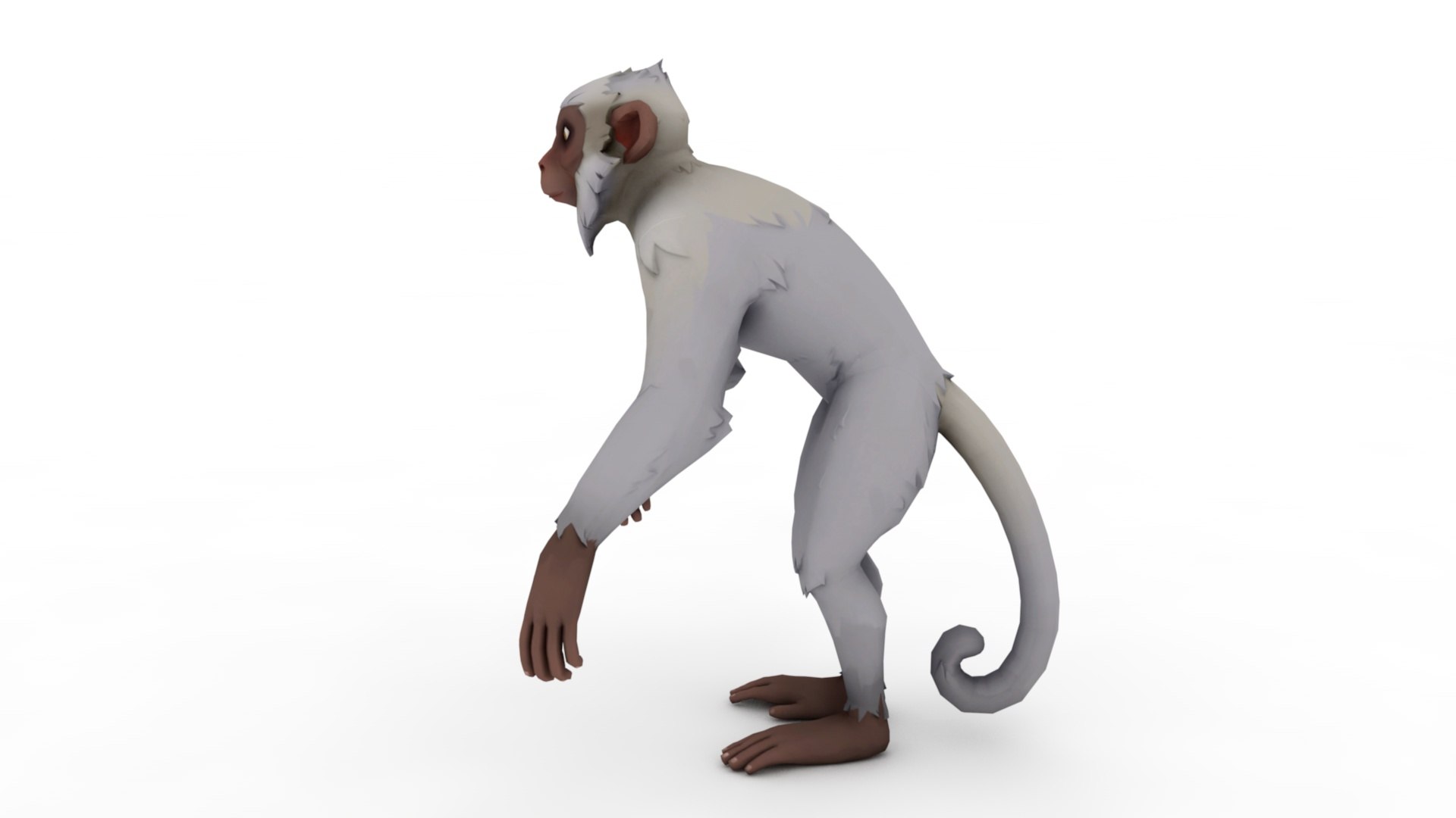 Monkey 3D model - TurboSquid 1953401