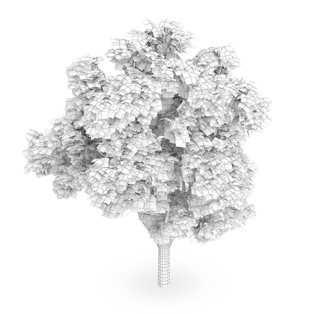 3d model sycamore maple tree acer