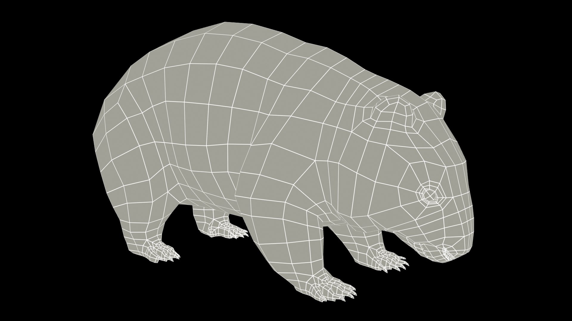 3D Wombat Model - TurboSquid 2323935