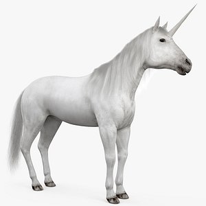 Unicorn 3D Models for Download | TurboSquid