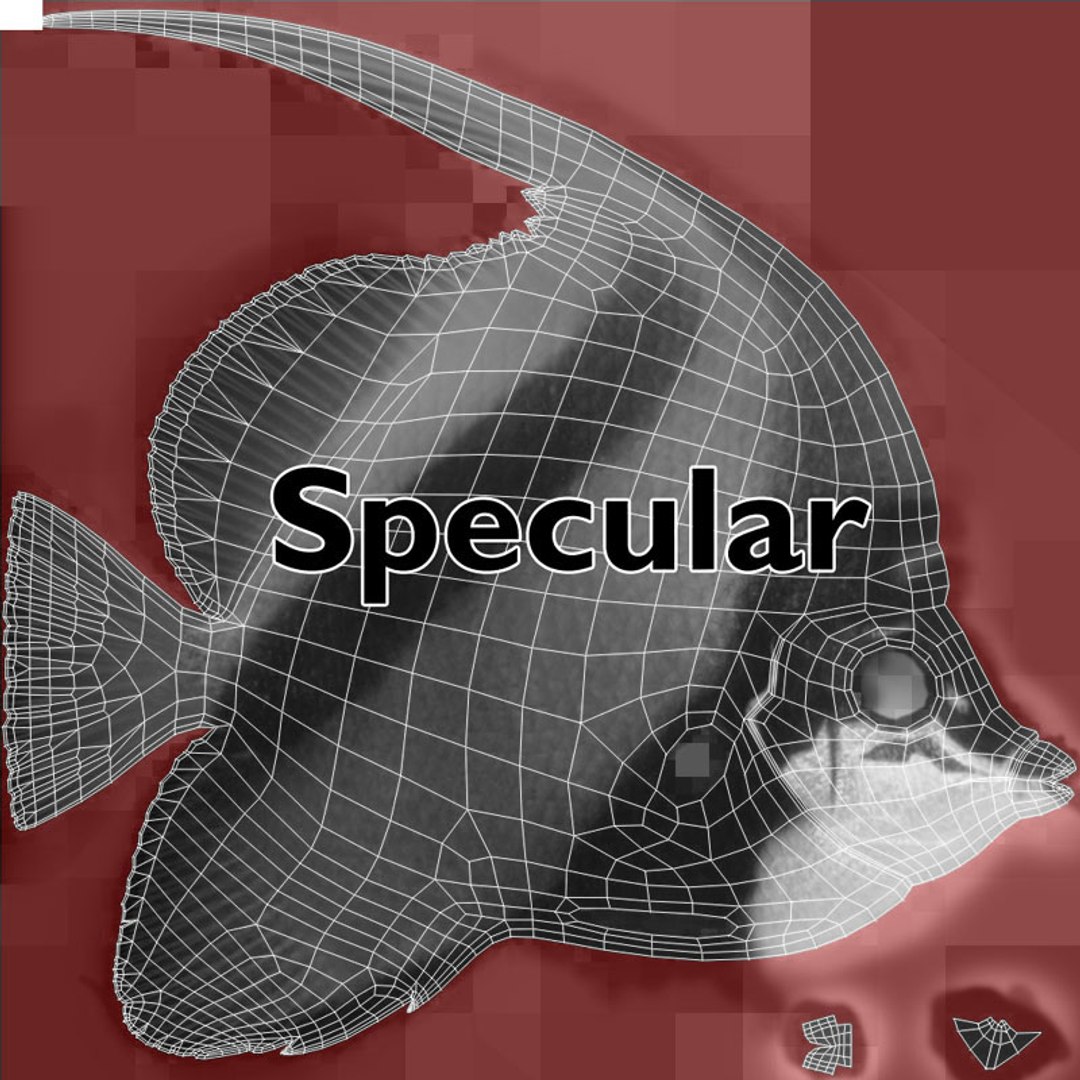 3ds Longfin Bannerfish Heniochus Acuminatus