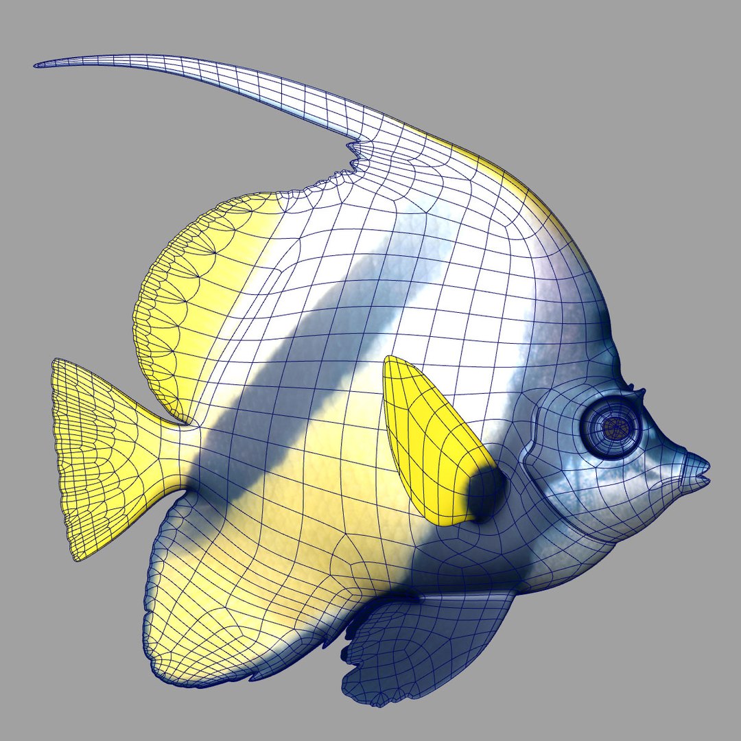 3ds Longfin Bannerfish Heniochus Acuminatus