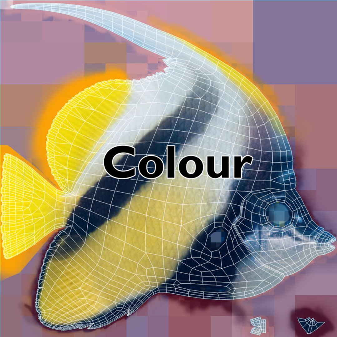 3ds Longfin Bannerfish Heniochus Acuminatus