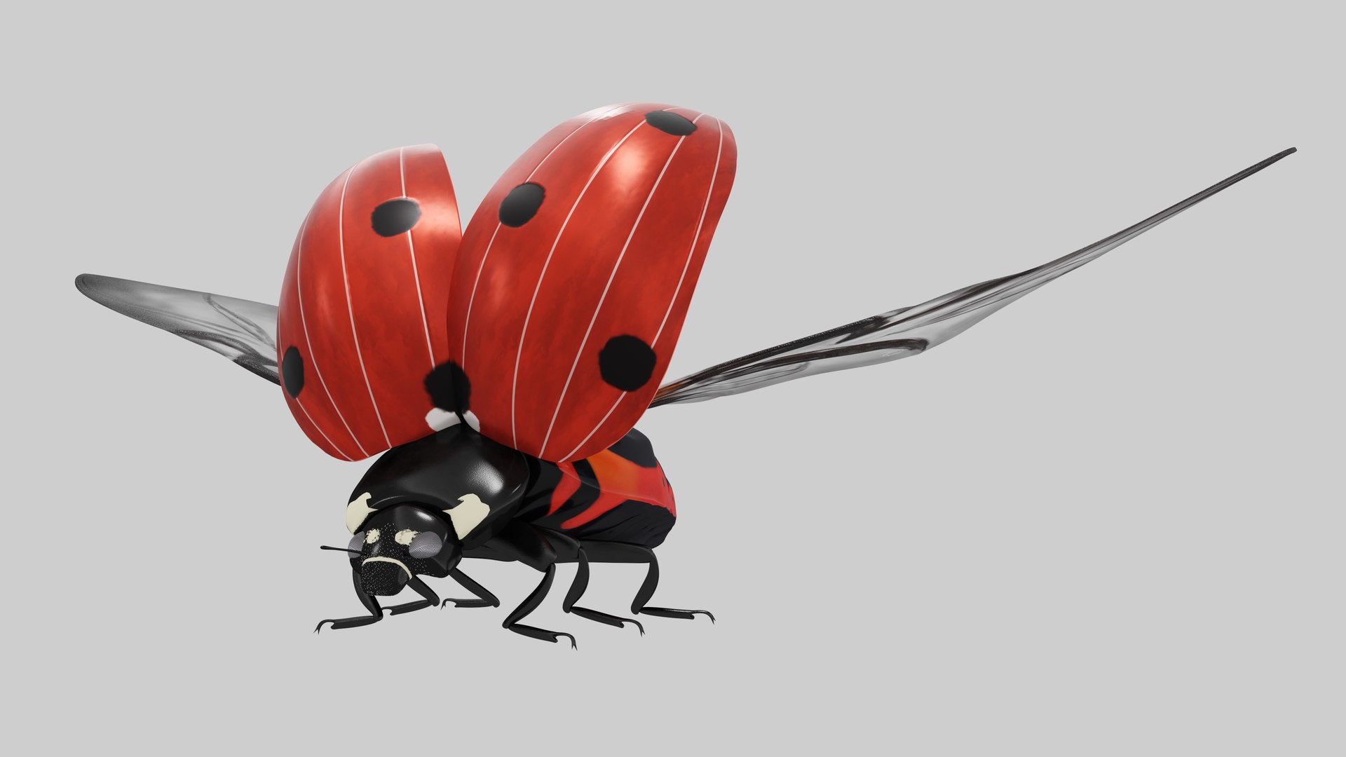 3D LadyBug model - TurboSquid 1794428