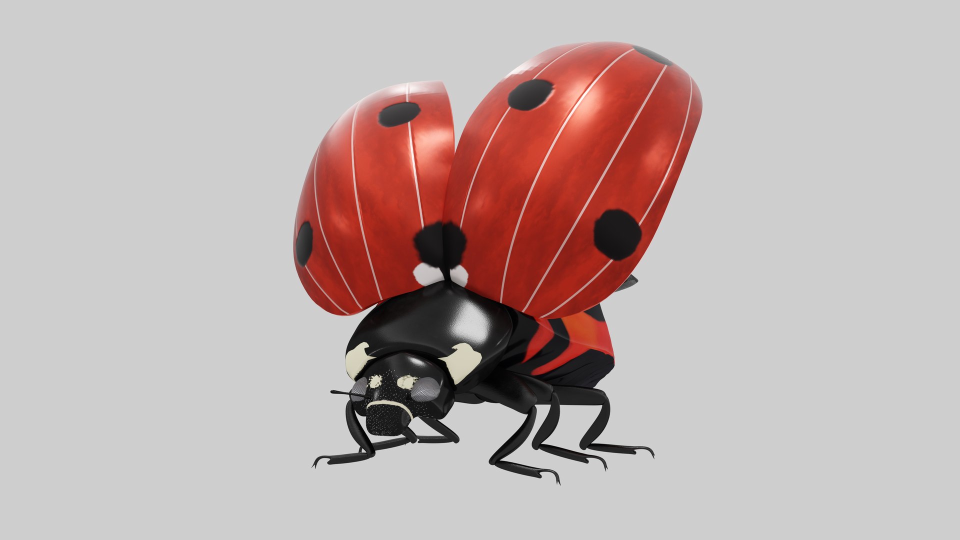 3D LadyBug model - TurboSquid 1794428