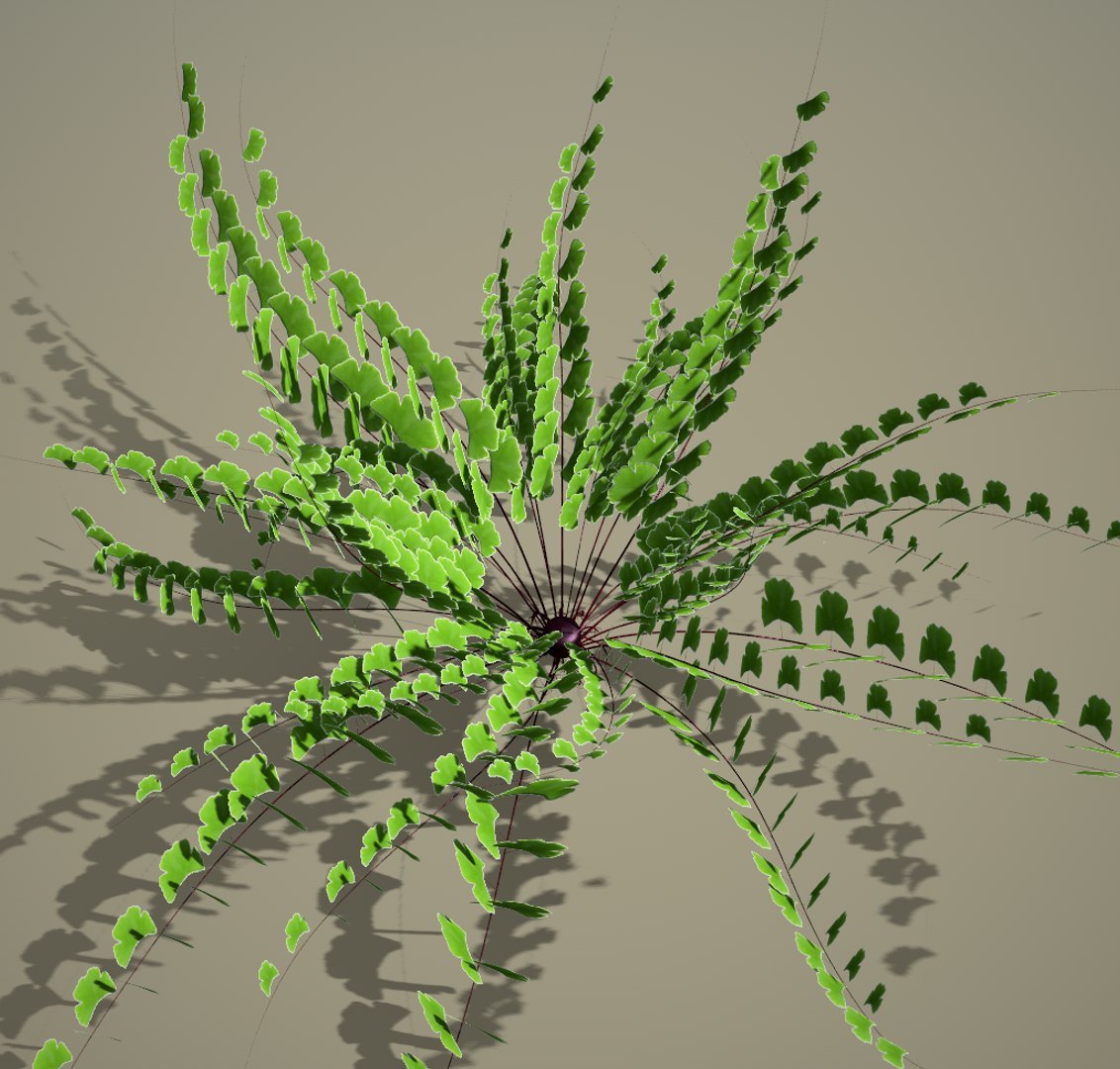 Fern Model - TurboSquid 1573320