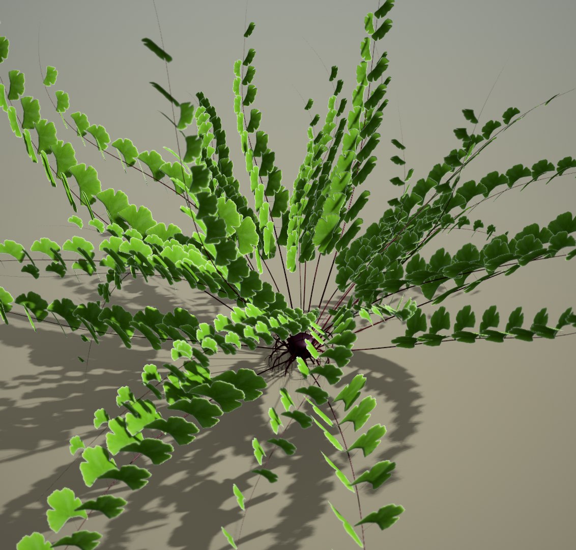 Fern Model - TurboSquid 1573320