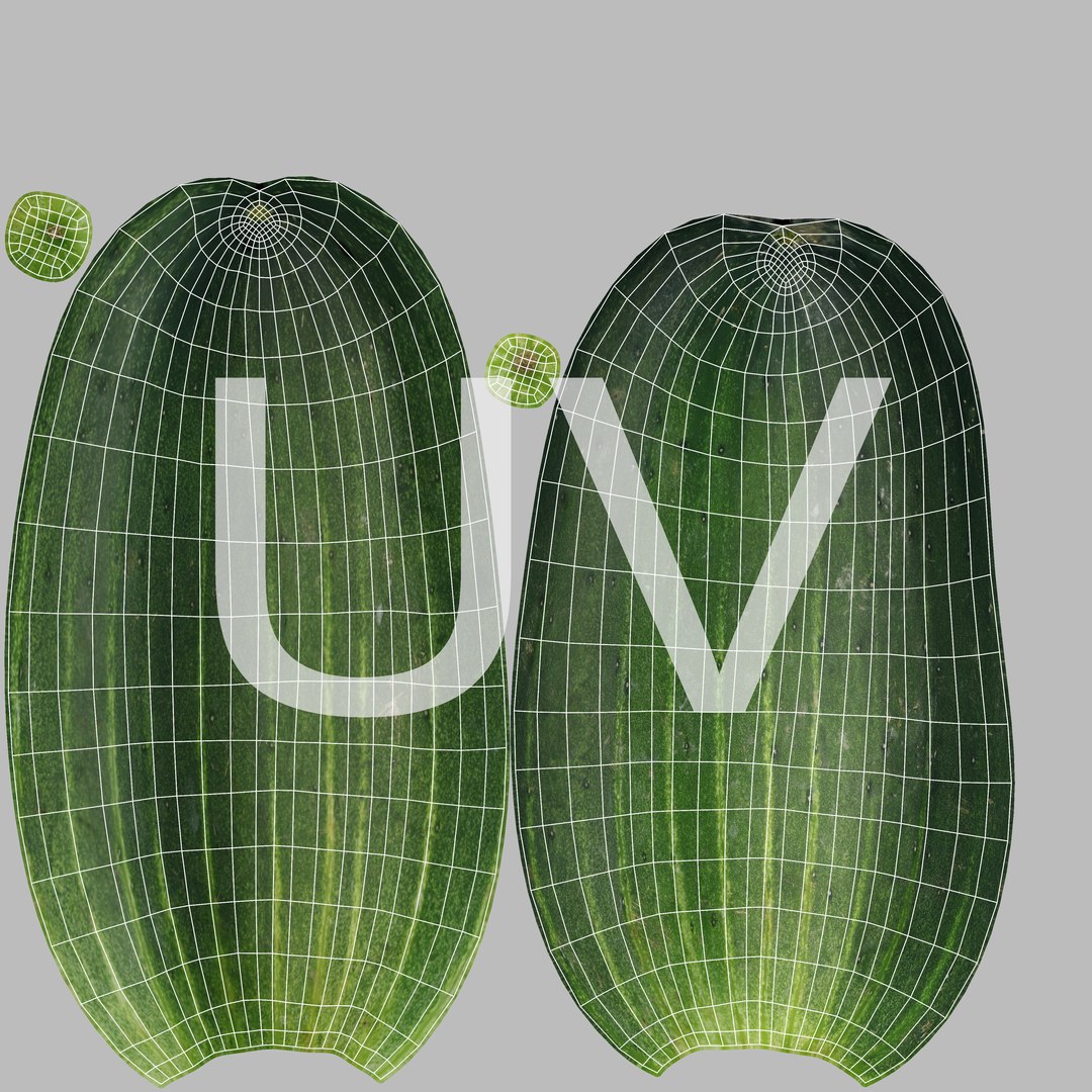 Cucumber v-ray 3D model - TurboSquid 1558867