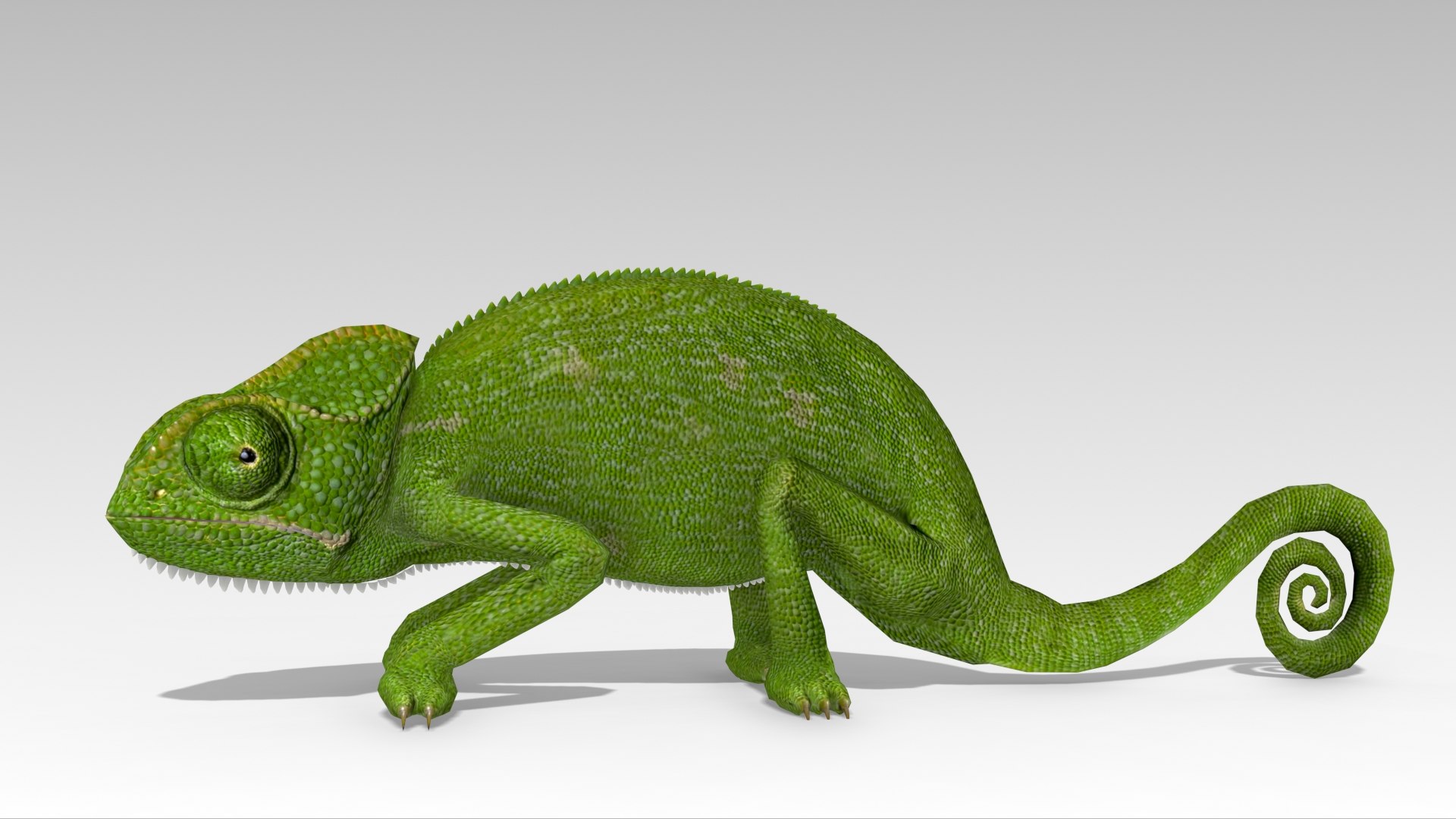 3D Chameleon model - TurboSquid 1996679