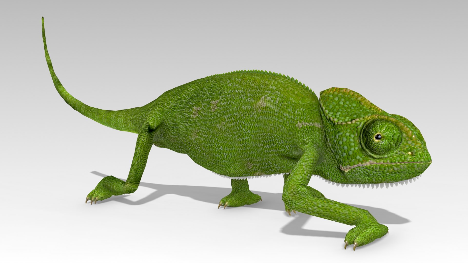 3D Chameleon model - TurboSquid 1996679