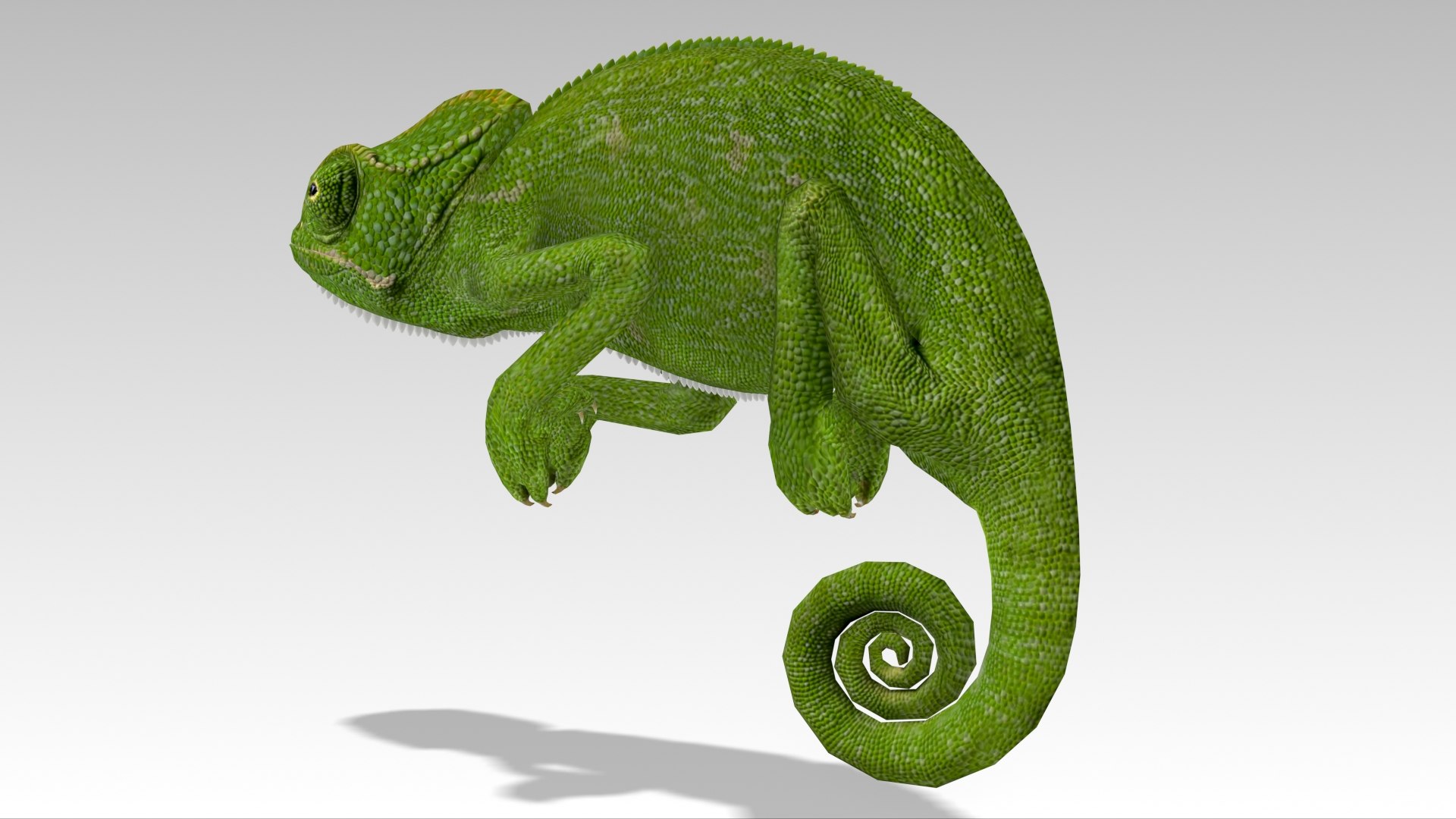 3D Chameleon model - TurboSquid 1996679
