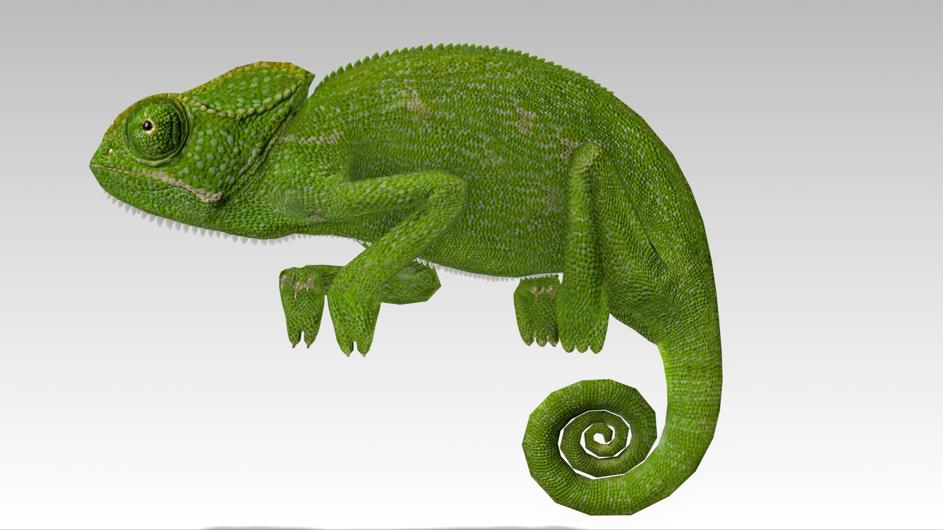 3D Chameleon model - TurboSquid 1996679