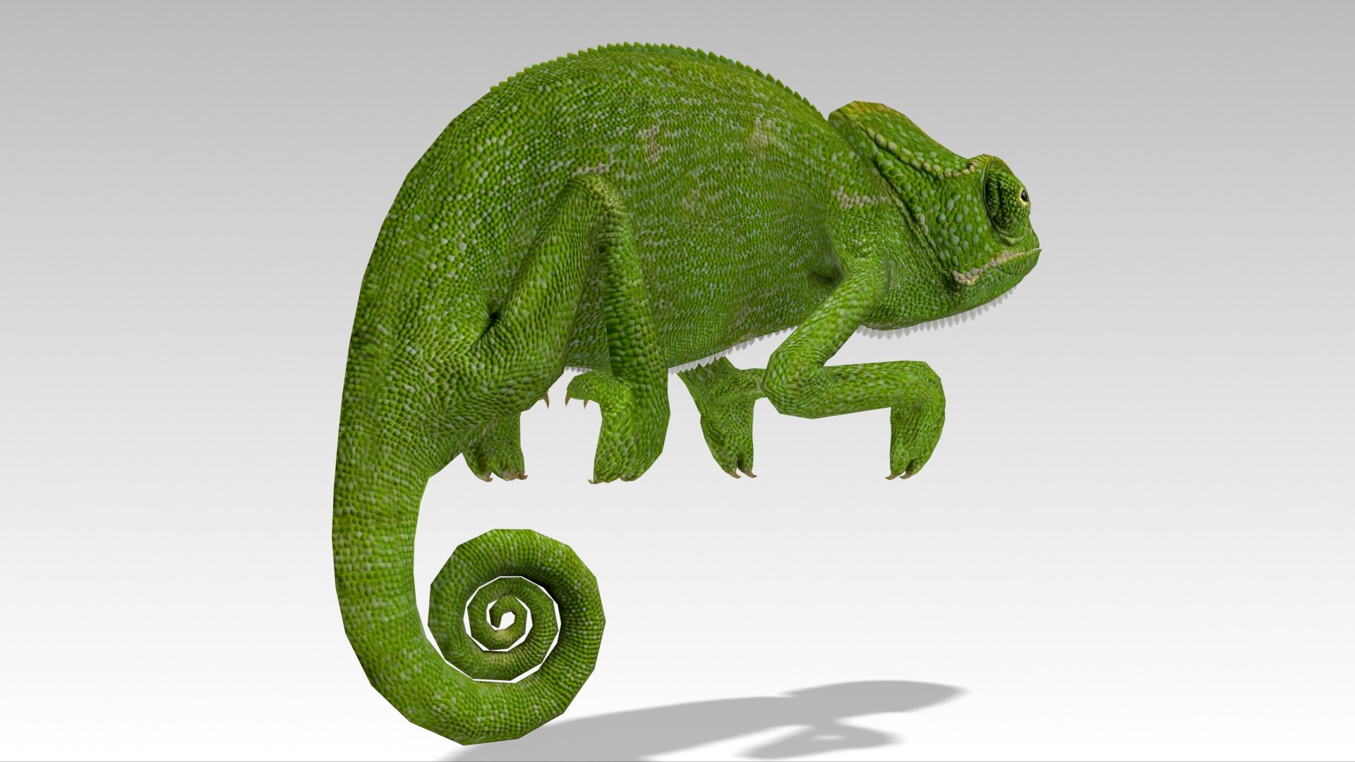 3D Chameleon model - TurboSquid 1996679