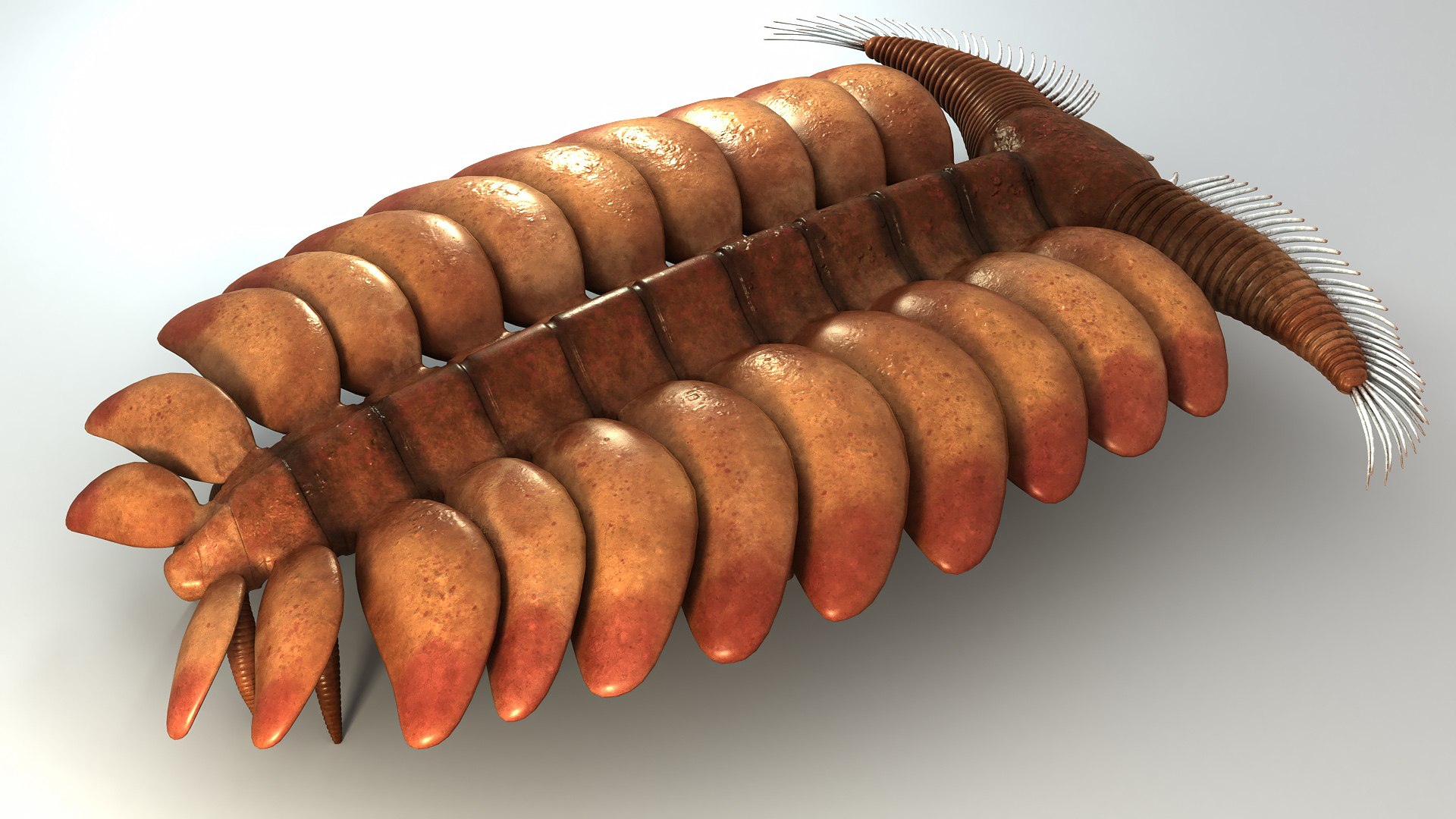 3D Pambdelurion Whittingtoni Model - TurboSquid 1555371