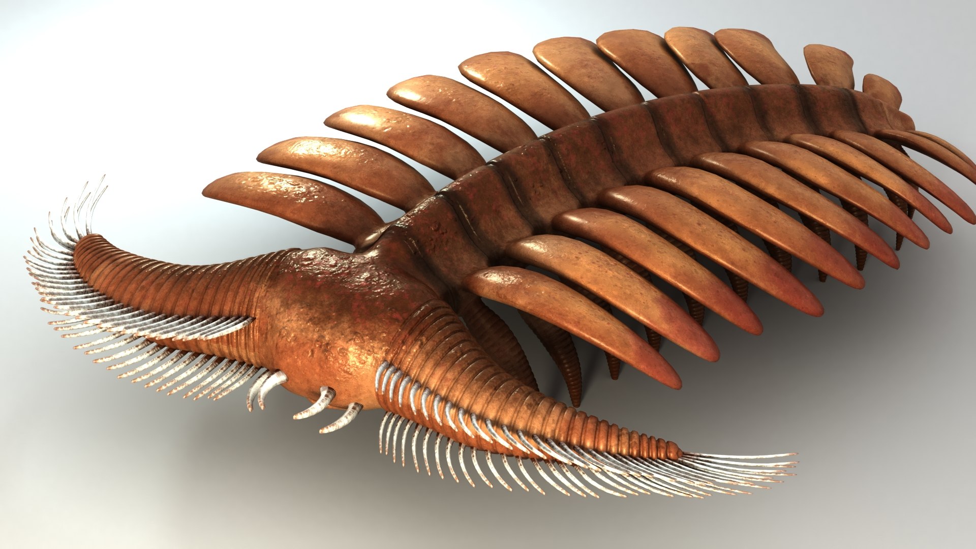 3D Pambdelurion Whittingtoni Model - TurboSquid 1555371