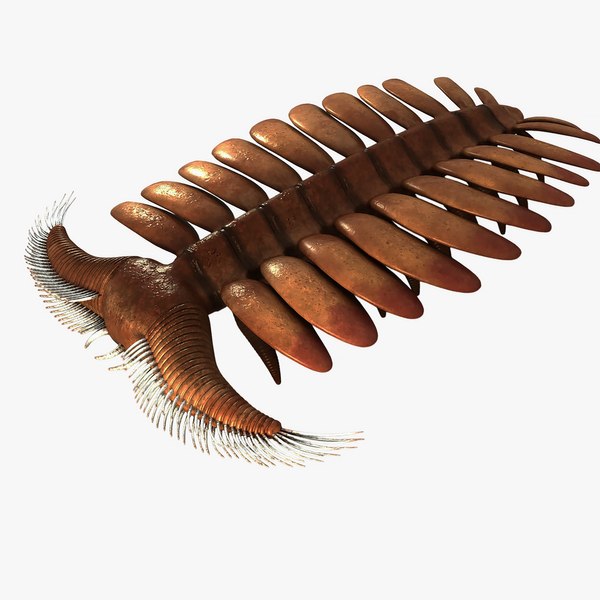 Pambdelurion Whittingtoni Modelo 3D - TurboSquid 1555371