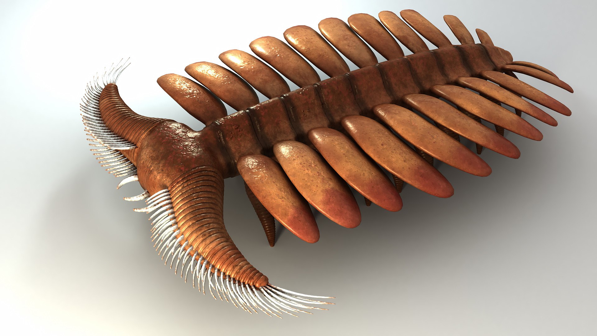 3D Pambdelurion Whittingtoni Model - TurboSquid 1555371