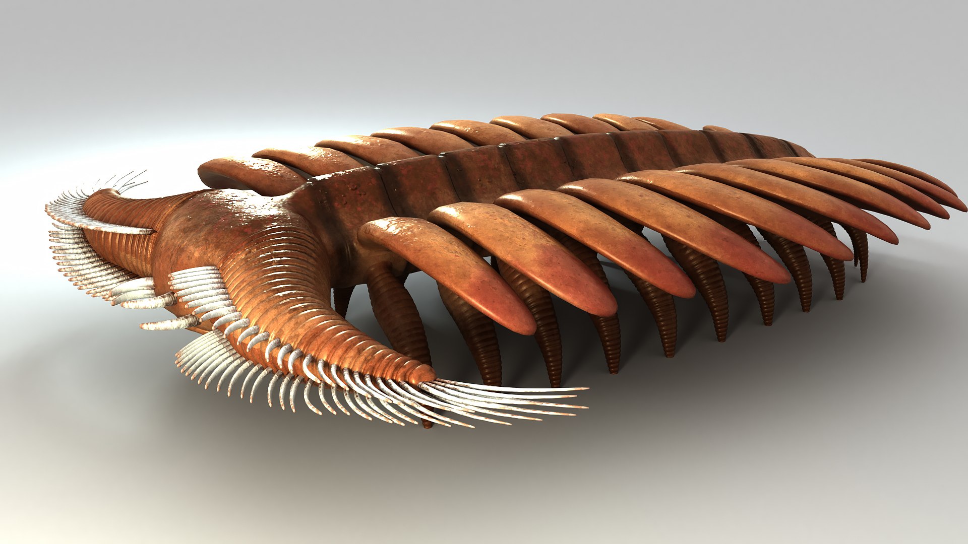 3D Pambdelurion Whittingtoni Model - TurboSquid 1555371