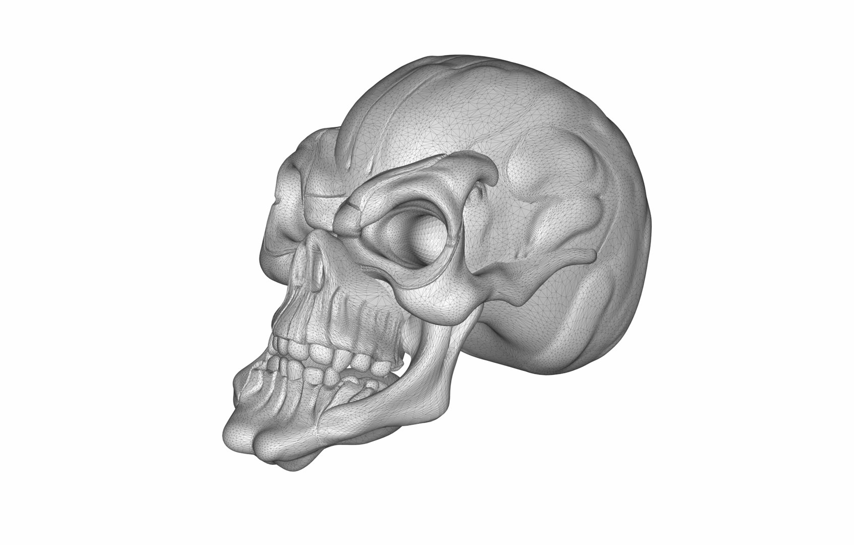 Evil Skull 3D Model - TurboSquid 2301882
