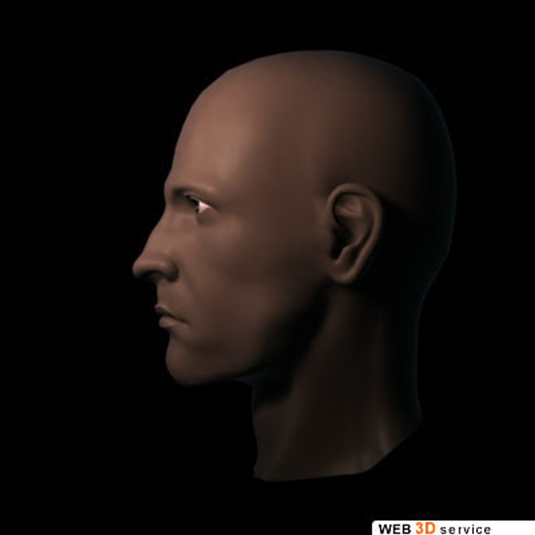 Male Head 3d Model