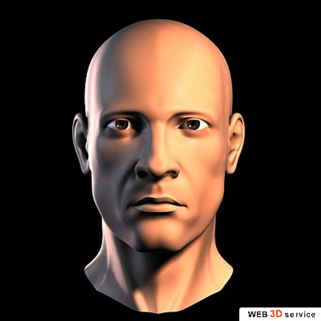 Male Head 3d Model