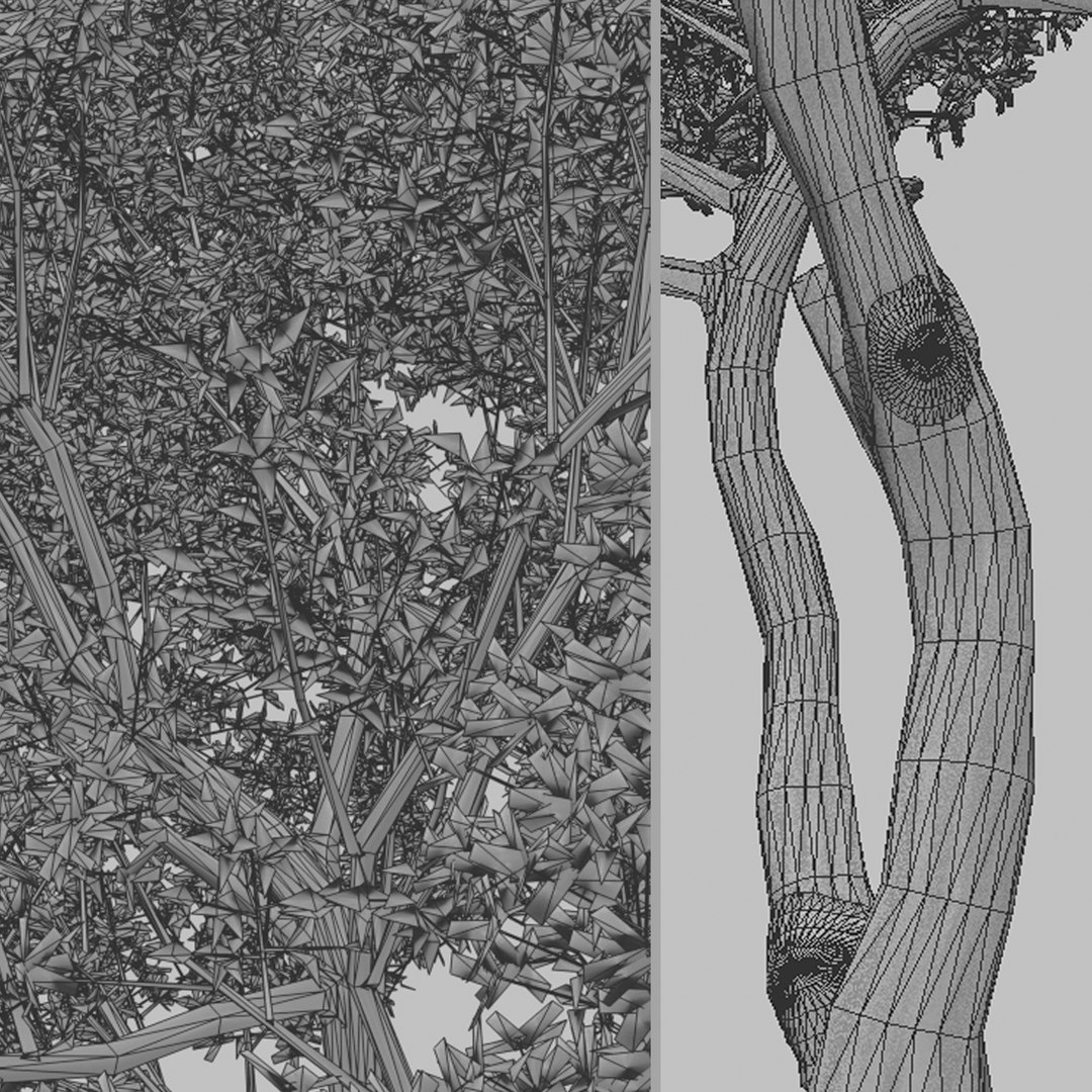 3D Set Of Flowering Serviceberry Or Kupfer Felsenbirne Trees Model ...