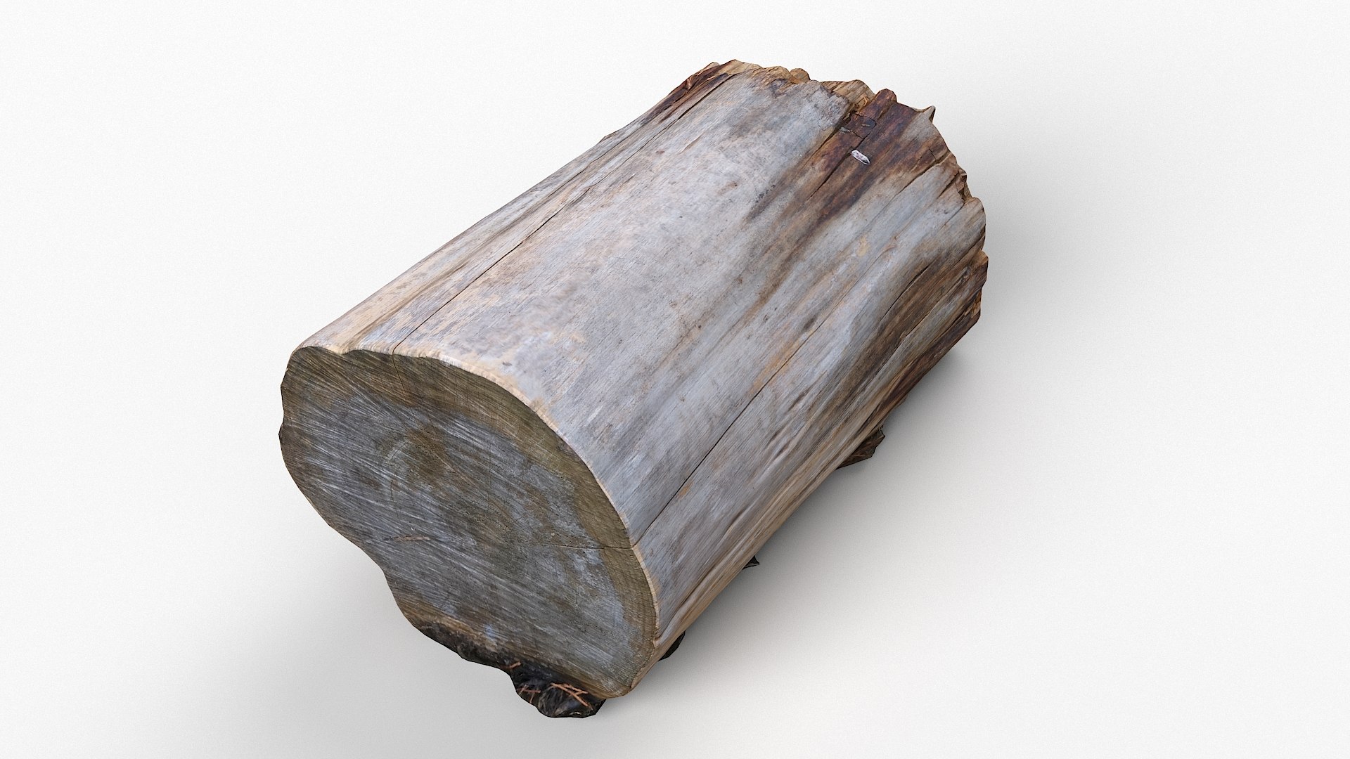3D Tree Trunk Stump Model - TurboSquid 1695324