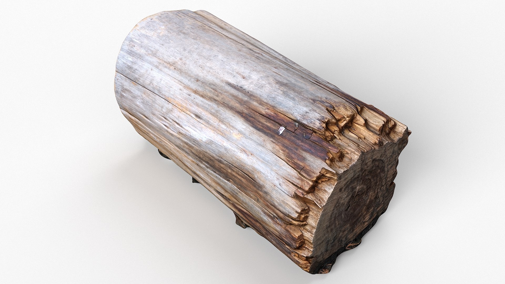 3D Tree Trunk Stump Model - TurboSquid 1695324