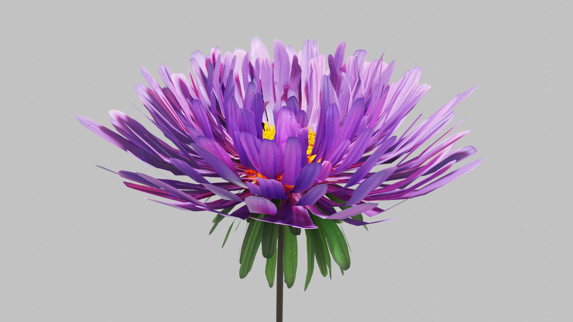 3D Aster - TurboSquid 2063429