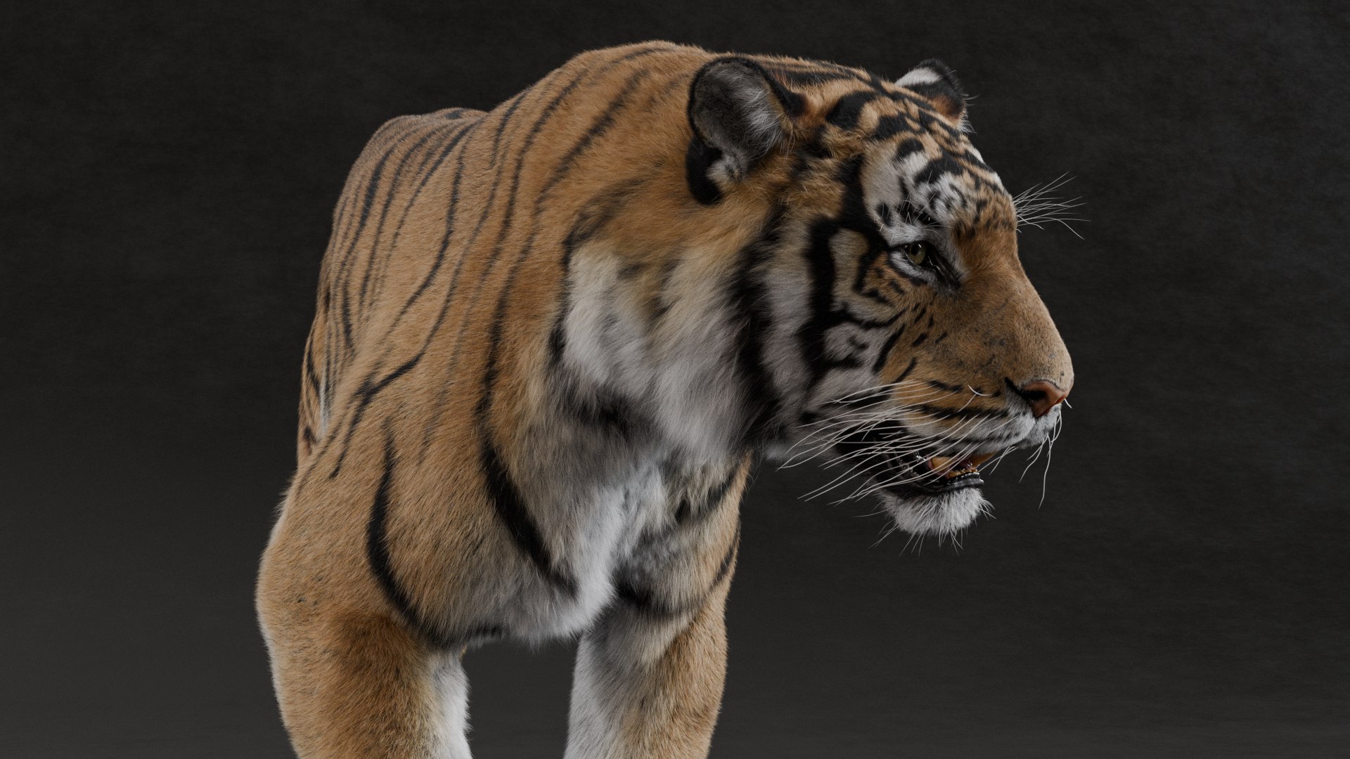 3D Model Bengal Tiger - TurboSquid 2378635