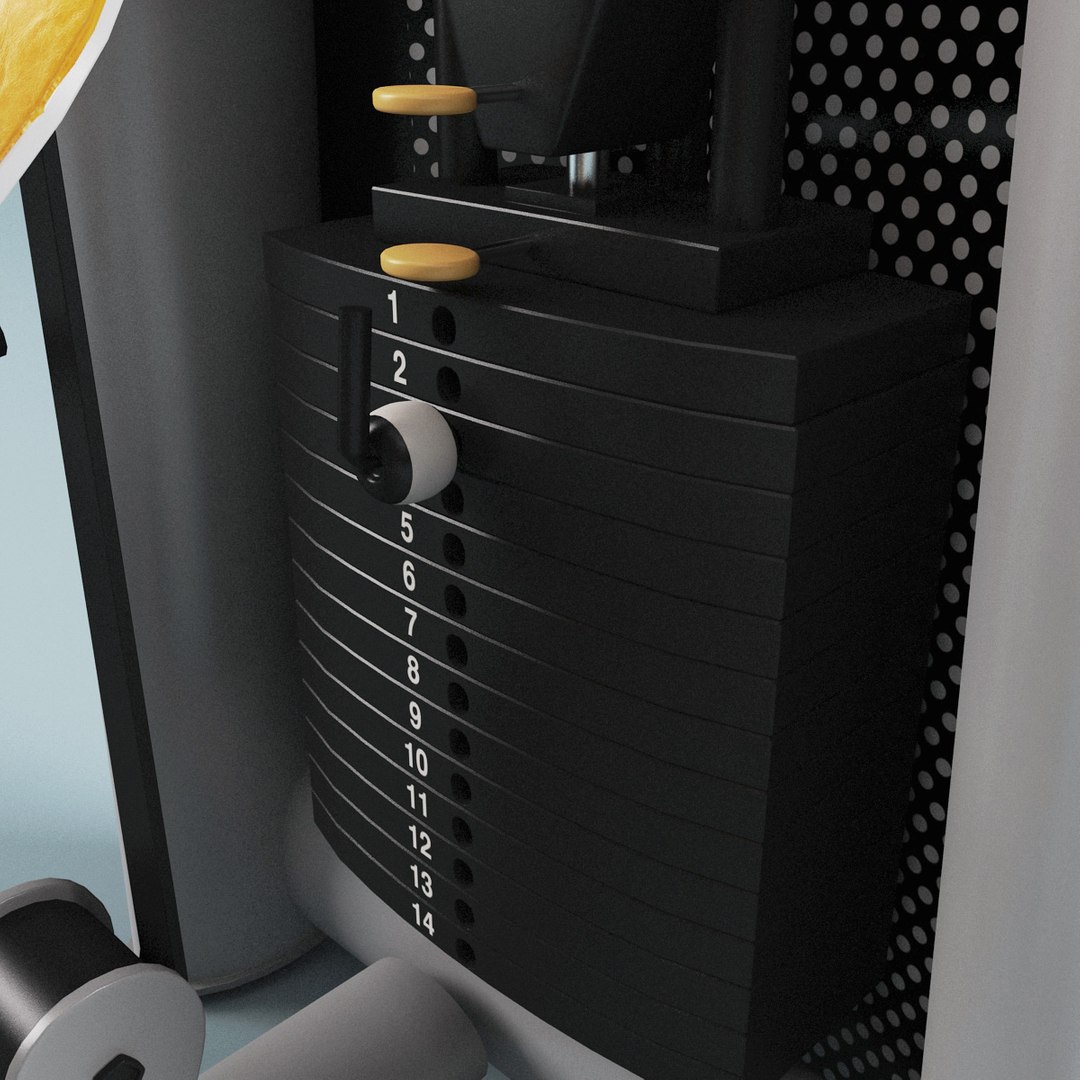 max rotary torso machine