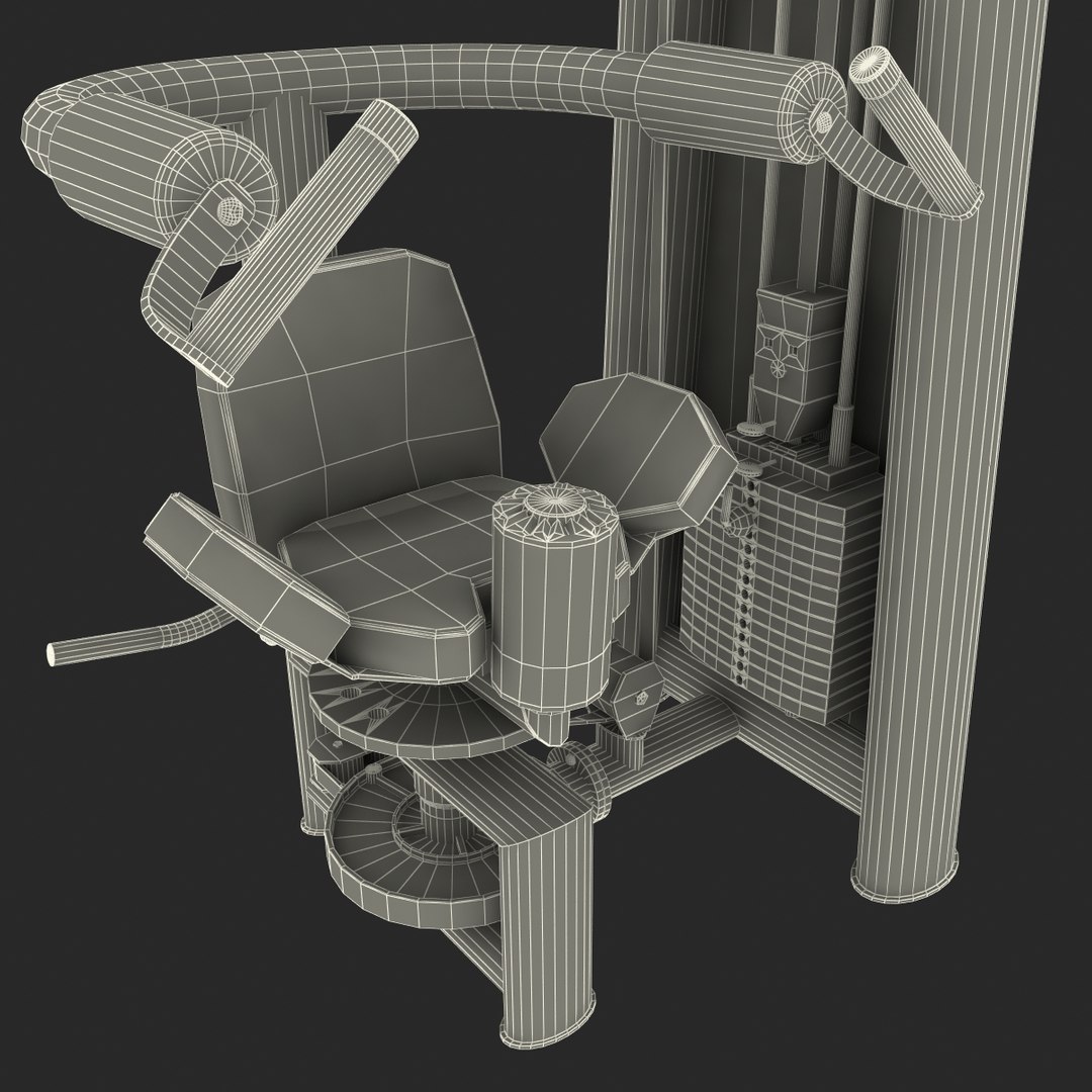 max rotary torso machine