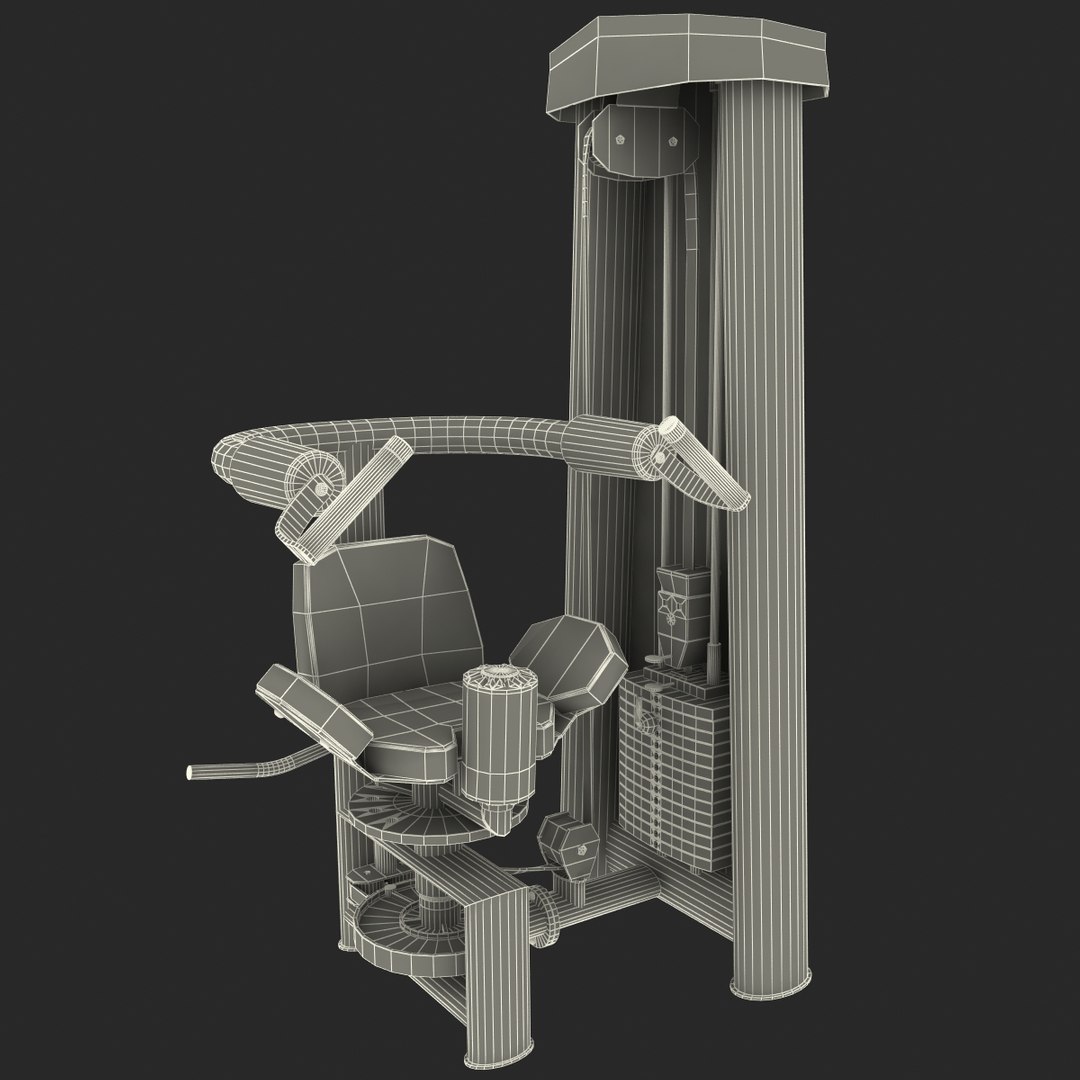 max rotary torso machine