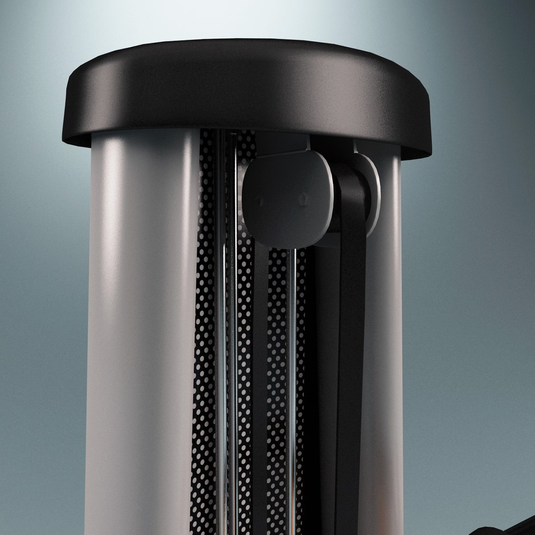 max rotary torso machine