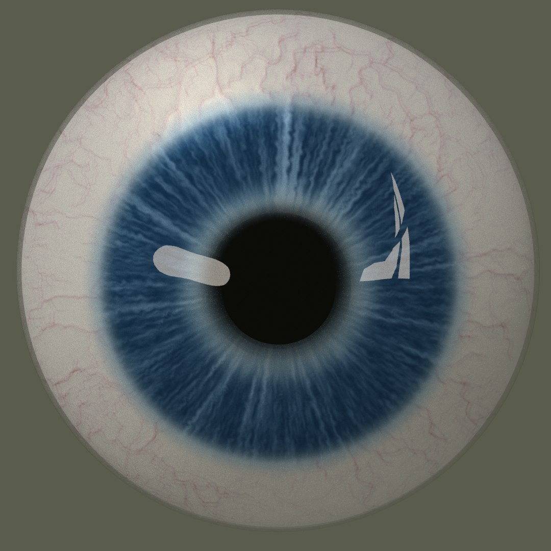3d Model Human Eye