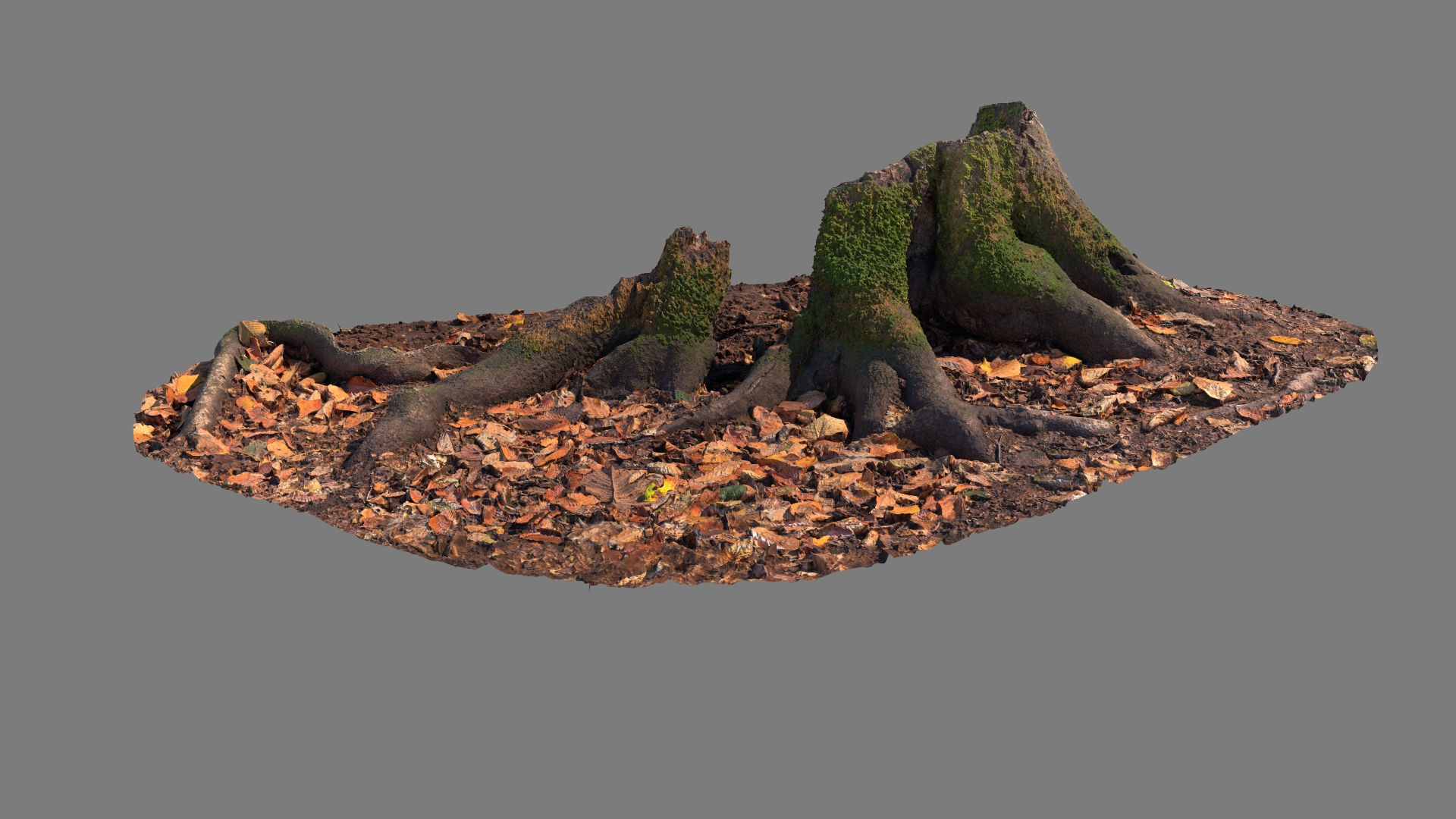 Scanned Trimmed Trunks Collection 3D Model - TurboSquid 2165883