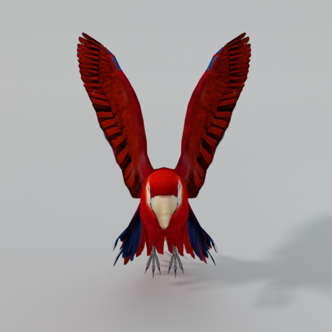 Red Macaw 3D Model - TurboSquid 1316794