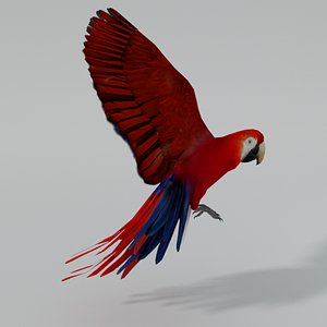 Bird STL Models for Download | TurboSquid