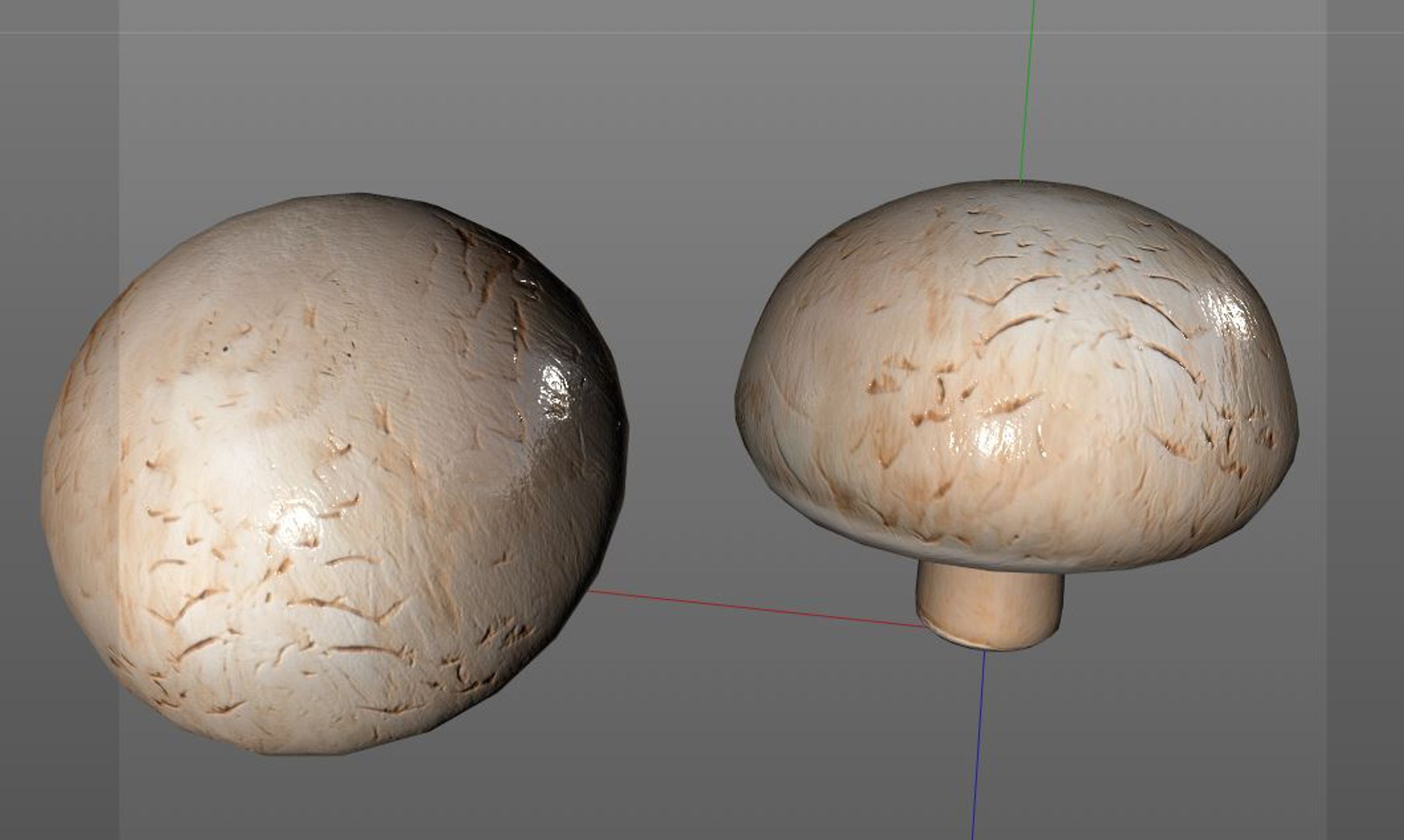 Mushroom Model - TurboSquid 1544549