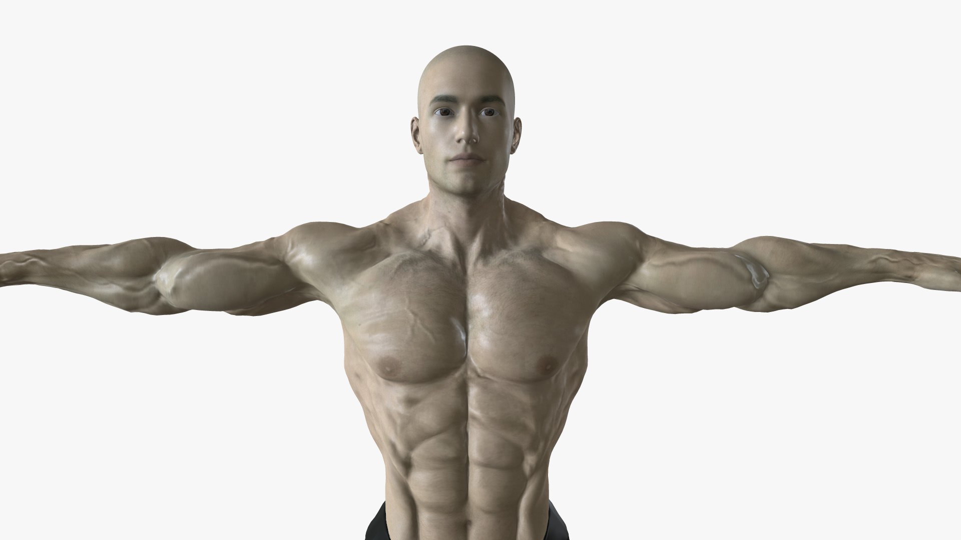 HMN-001 Rigged Human 3D Model - TurboSquid 1986452