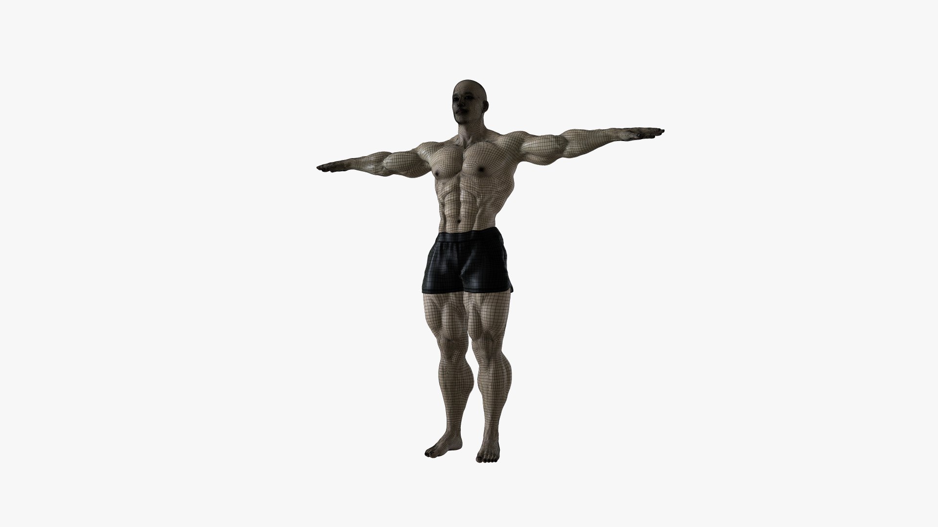 HMN-001 Rigged Human 3D Model - TurboSquid 1986452